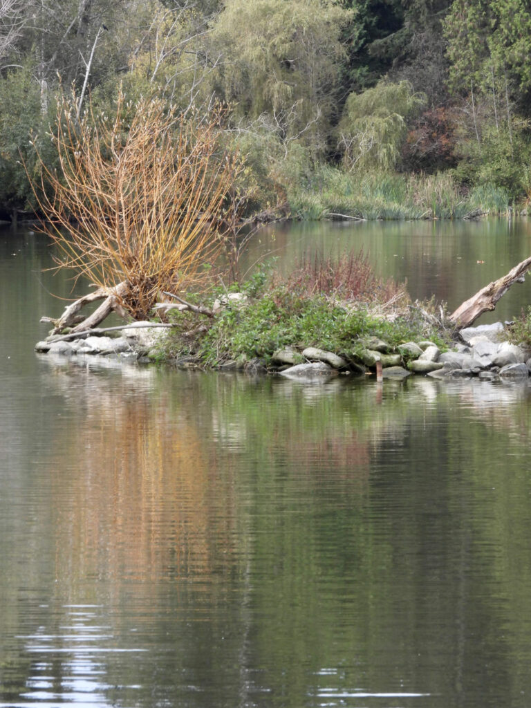 October 18, 2020 - Autumn is in full swing • Dino Renna Photography